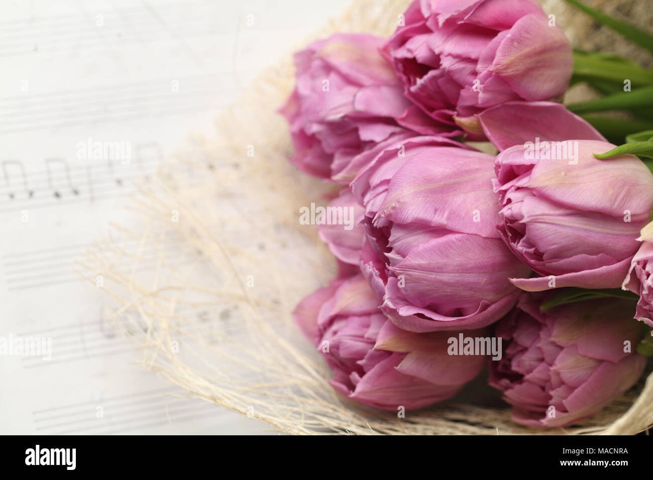 Beautiful tulip flowers on note paper background Stock Photo - Alamy