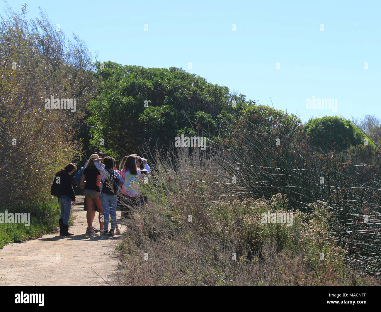 Walking trail around Ventura Harbor Wetlands Ecological Reserve ...