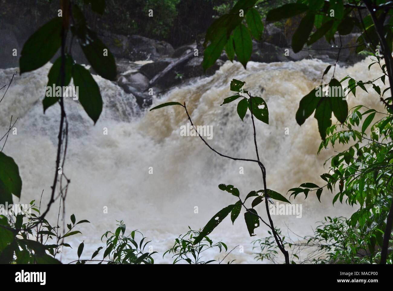 Dangerous rapids in remote forests of Borneo Stock Photo - Alamy