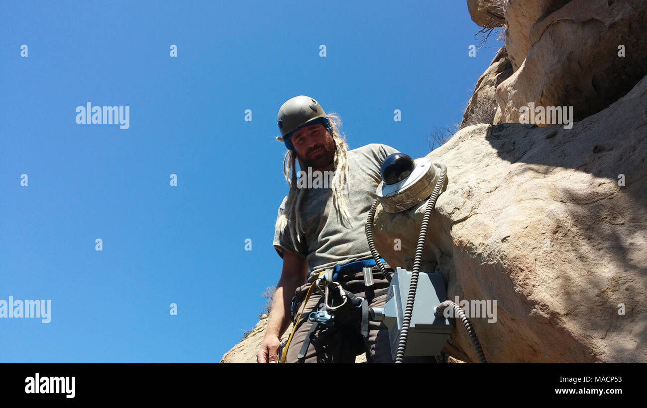 Wildlife biologist Joseph Brandt Stock Photo - Alamy