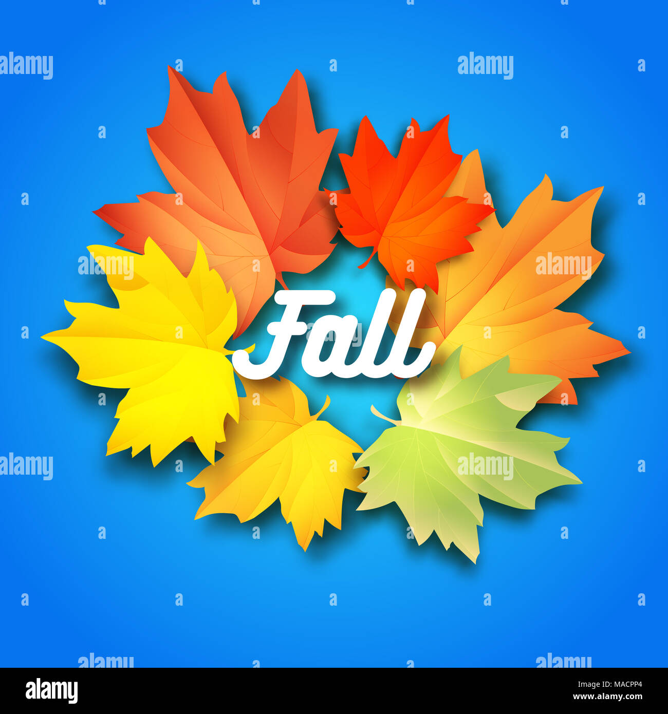 Vector illustration. Frame of autumn colorful leaves Stock Photo - Alamy