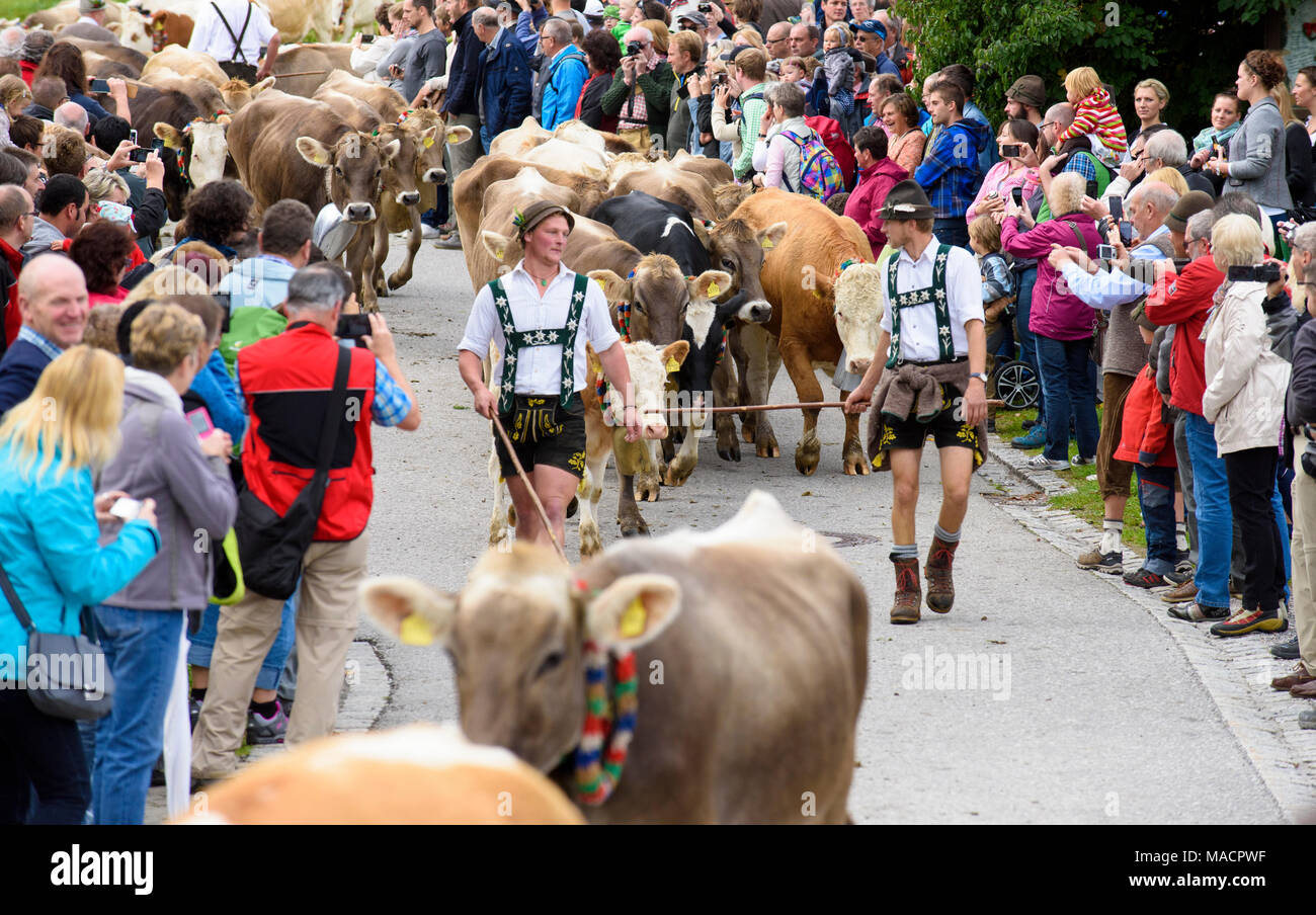 Traditional alpine costume hi-res stock photography and images - Alamy