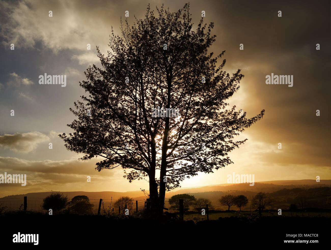 Lone image hi-res stock photography and images - Alamy