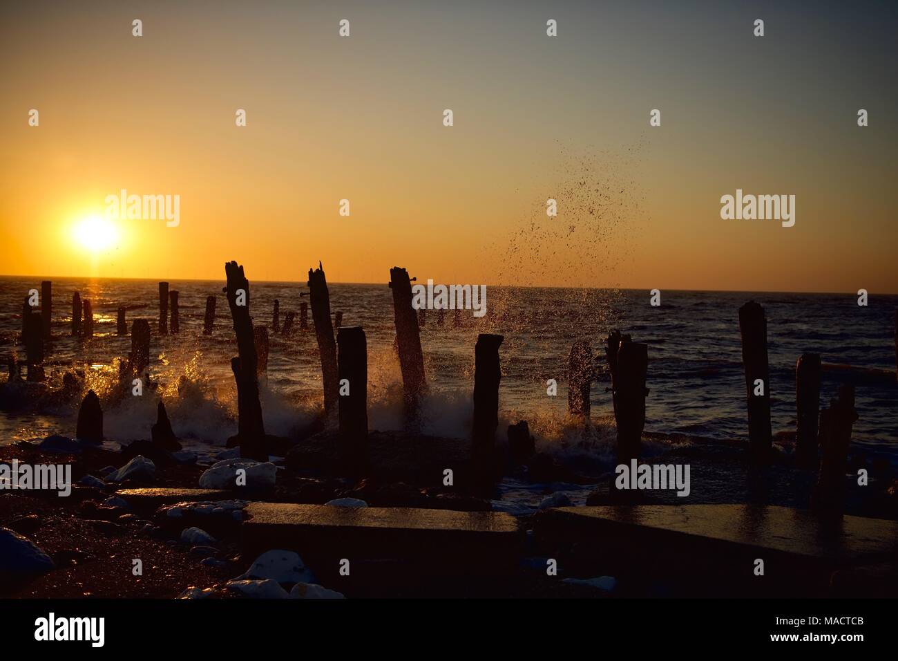 Bkimages hi-res stock photography and images - Alamy