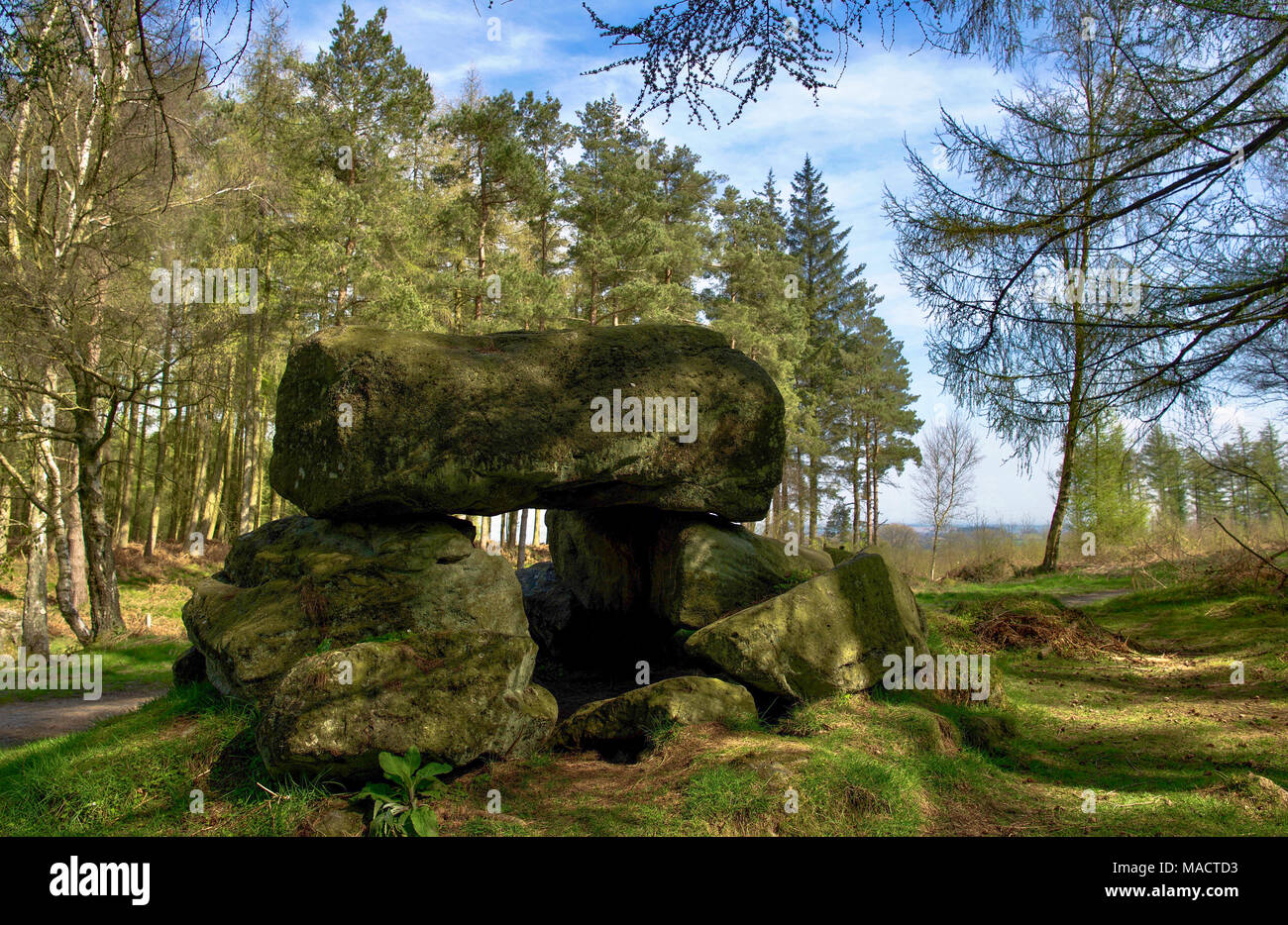 Leighton forest hi-res stock photography and images - Alamy