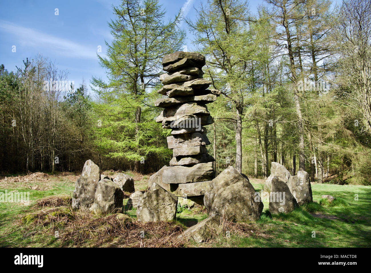 Leighton forest hi-res stock photography and images - Alamy