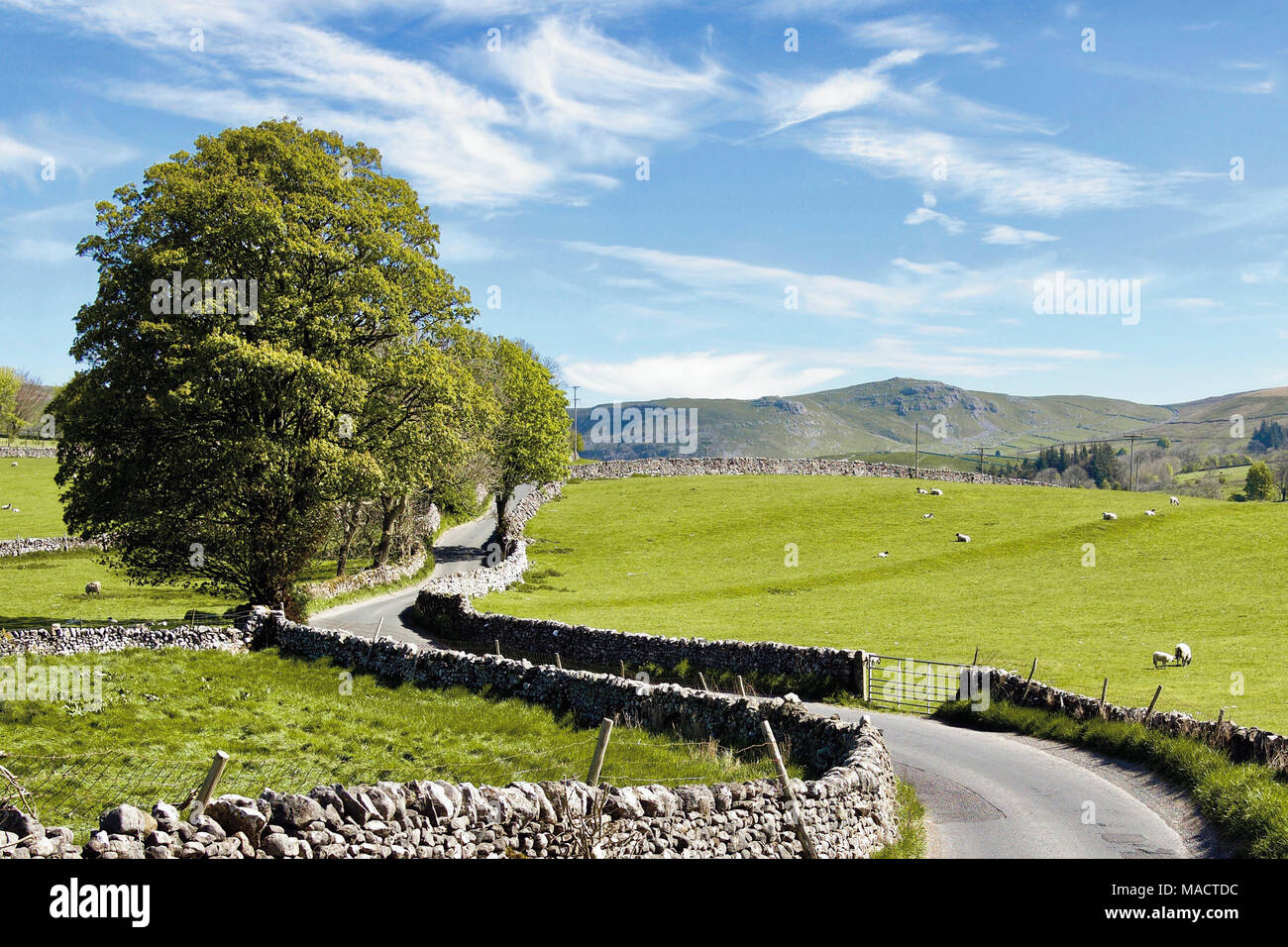 Dales scenic landscapes hi-res stock photography and images - Alamy