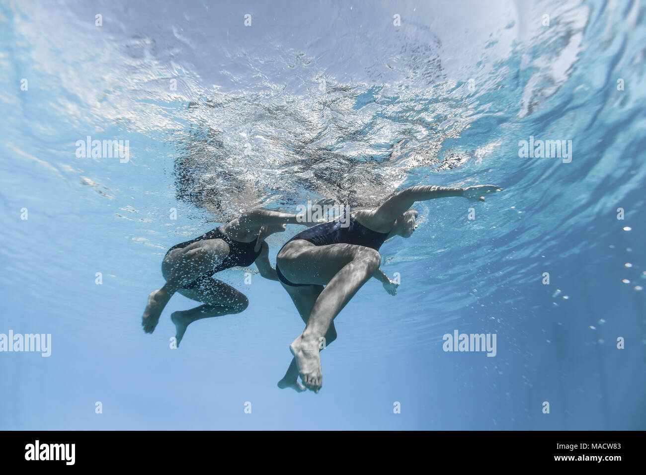 Underwater swimmers hi-res stock photography and images - Alamy