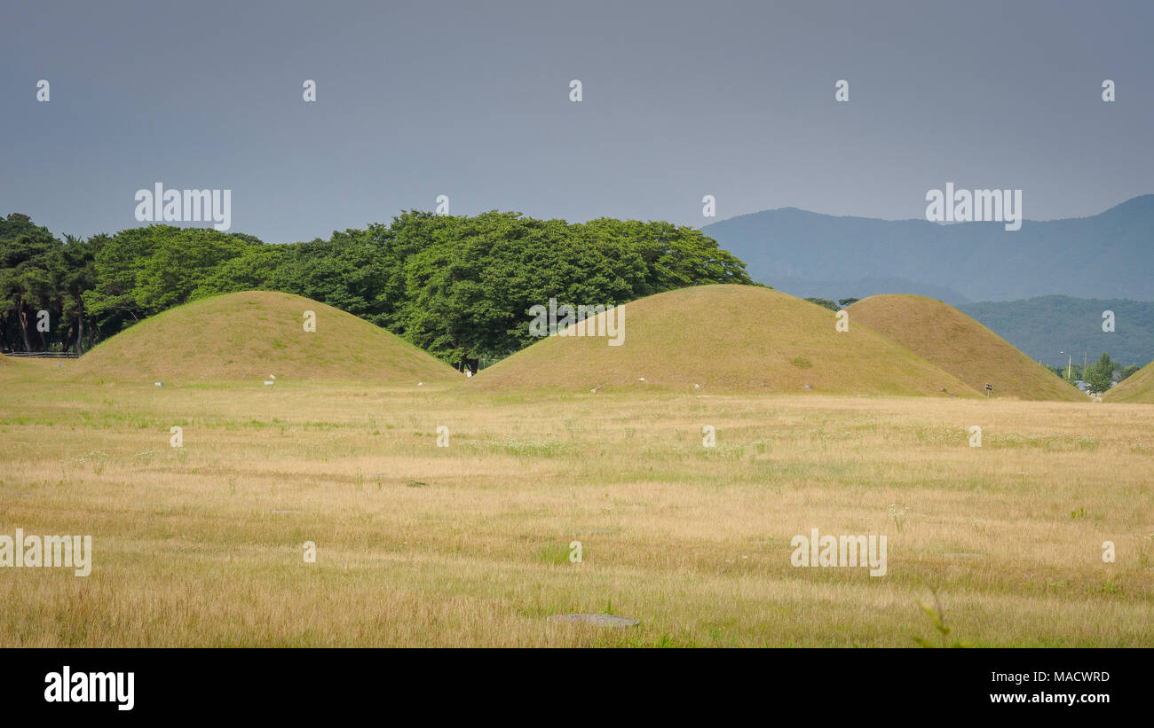 Gyeongju Royal Tombs, Daereungwon in Gyeongju Stock Photo - Alamy