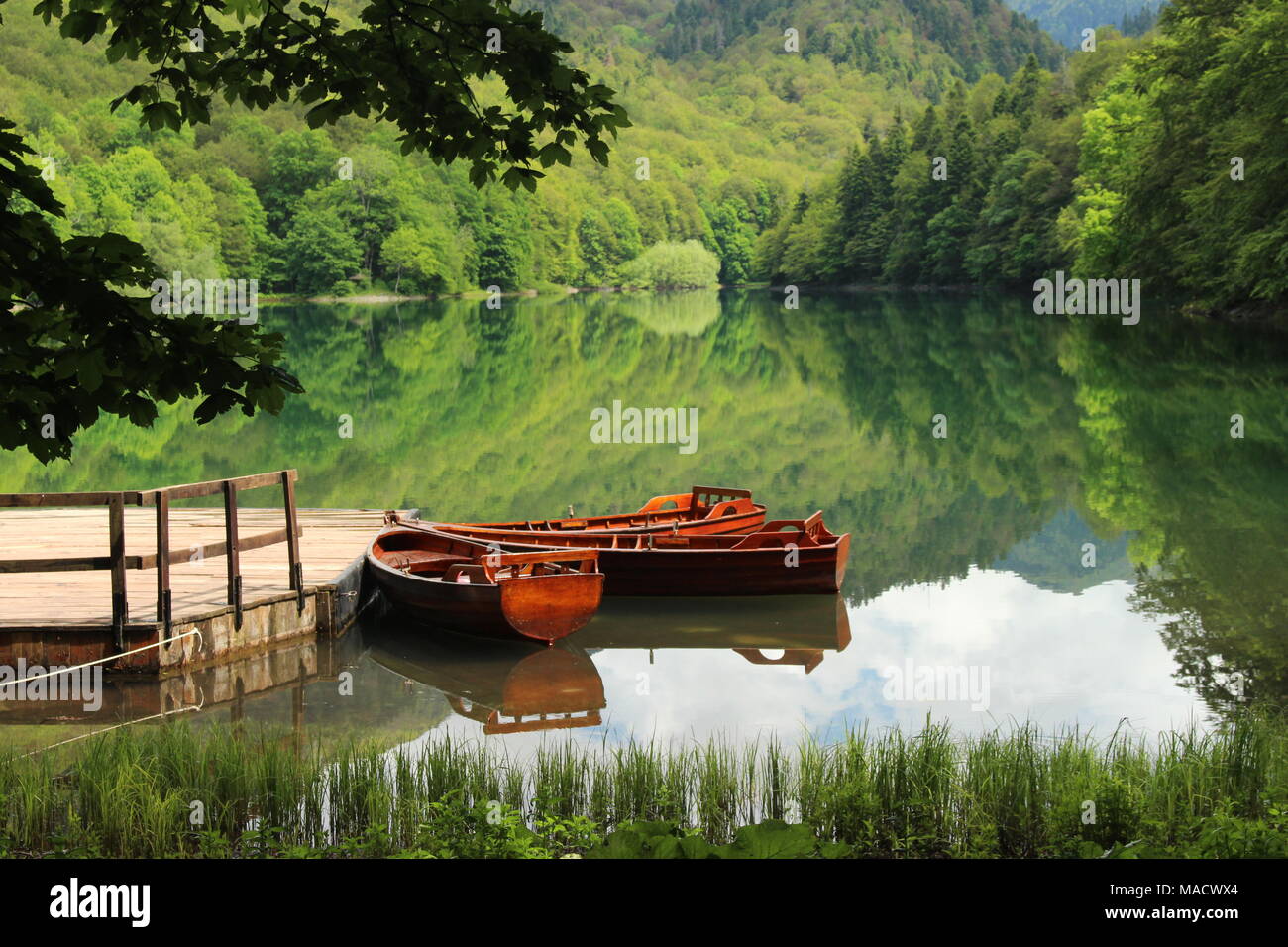 Postcard of gora park hi-res stock photography and images - Alamy