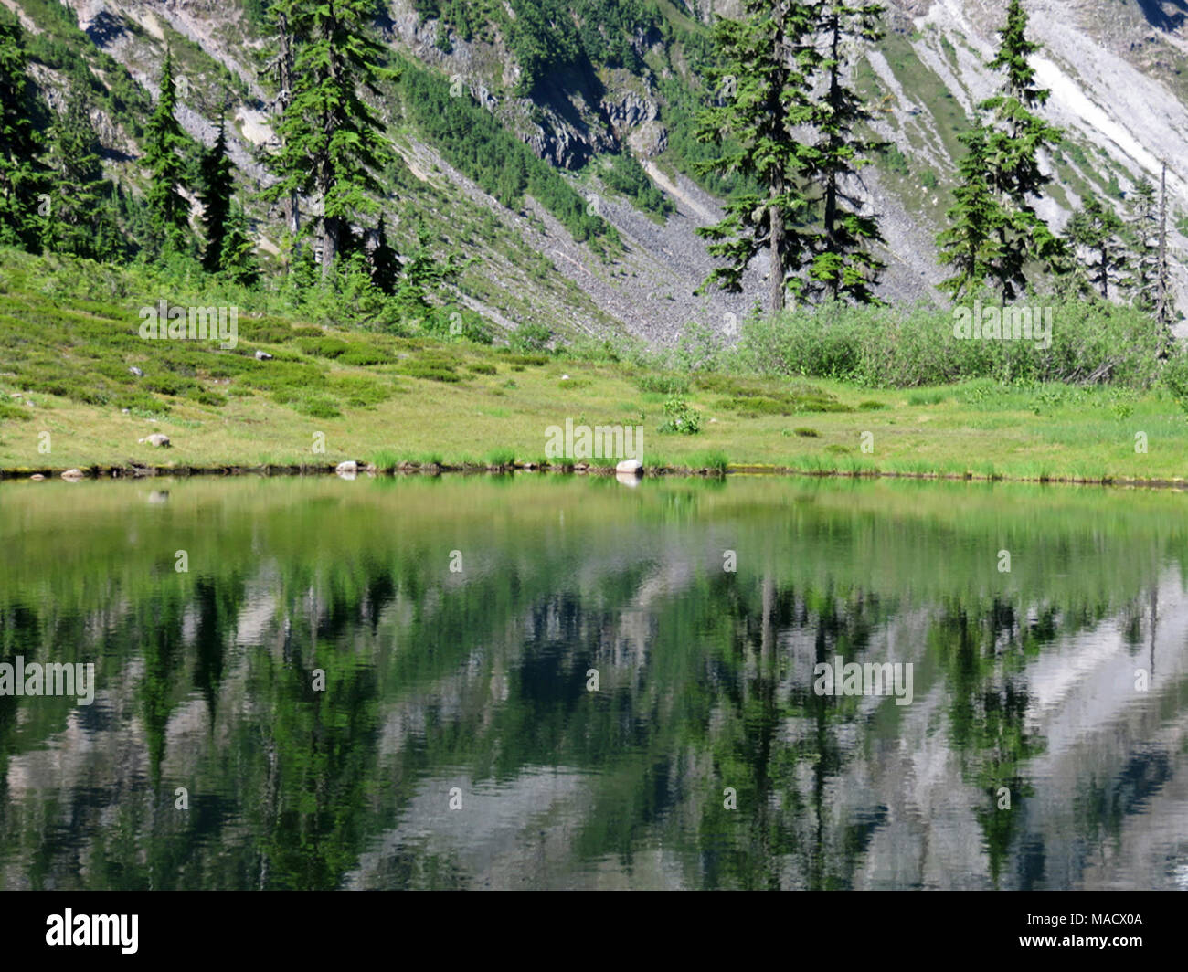 Austin Pass at Mt Baker-Snoqualmie NF in WA Stock Photo - Alamy