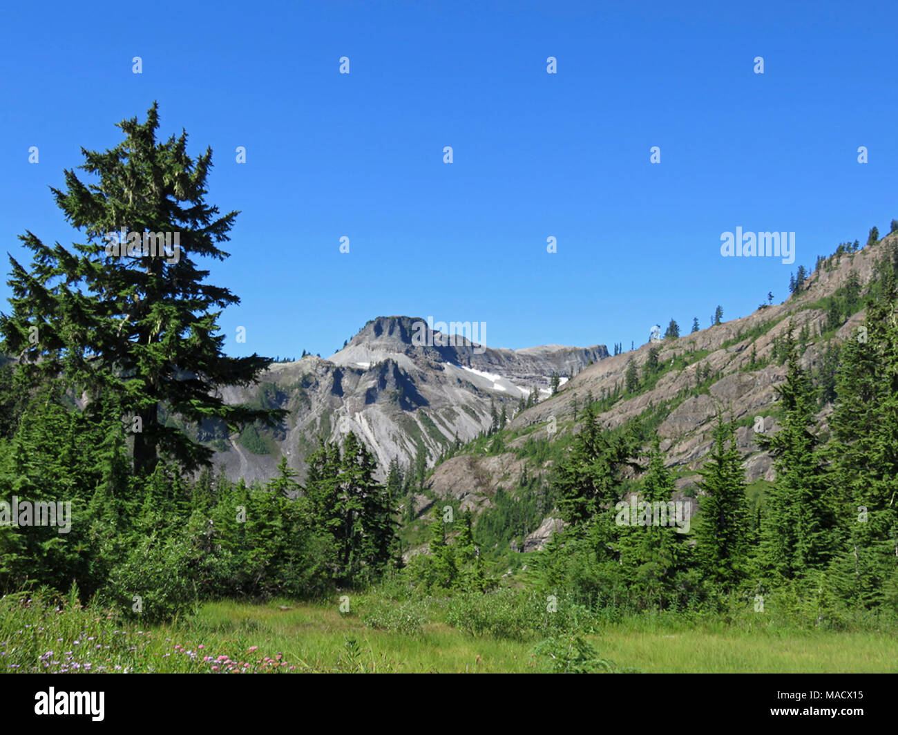 Austin Pass at Mt Baker-Snoqualmie NF in WA Stock Photo - Alamy