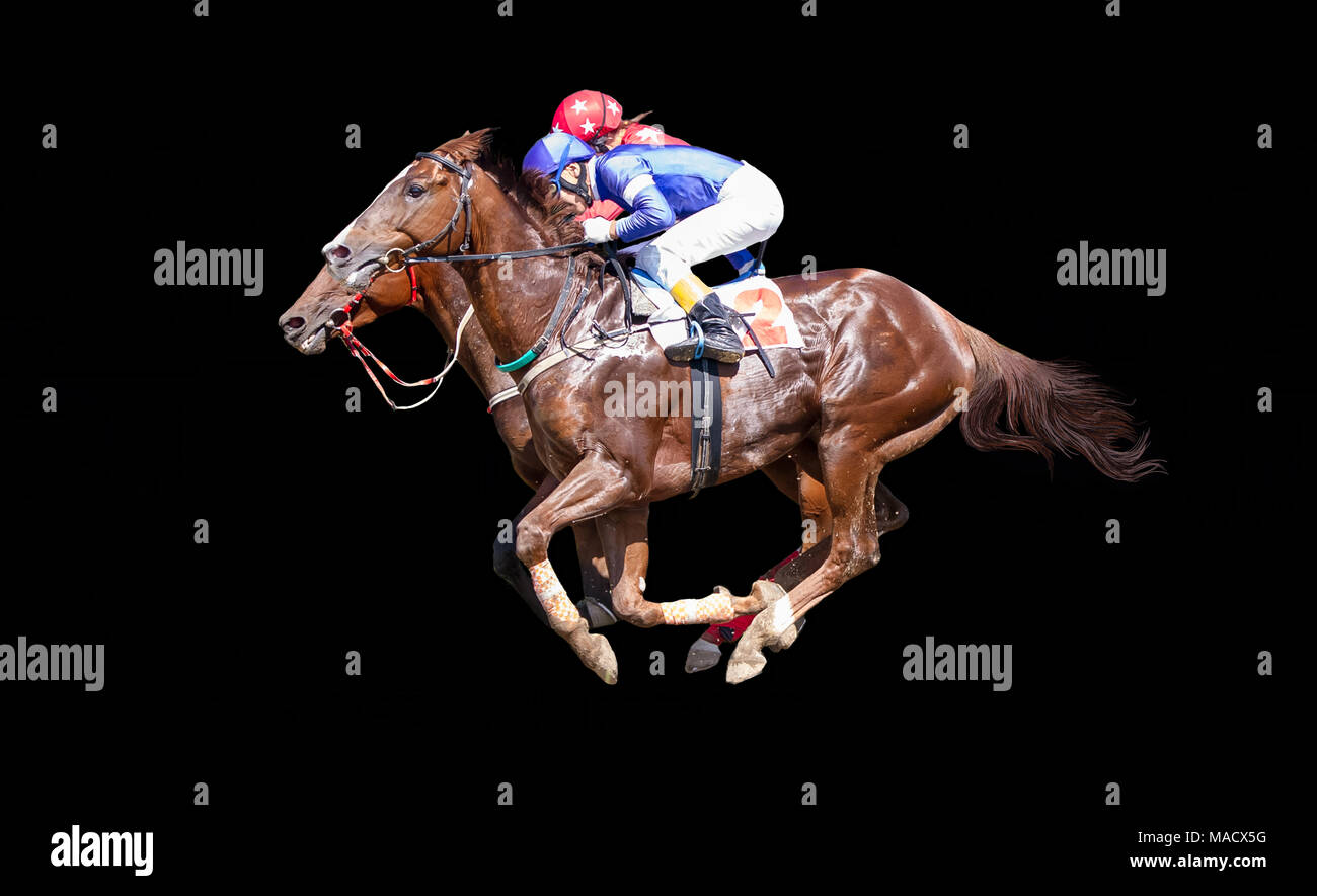 Two racing horses neck to neck in fierce competition for the finish ...