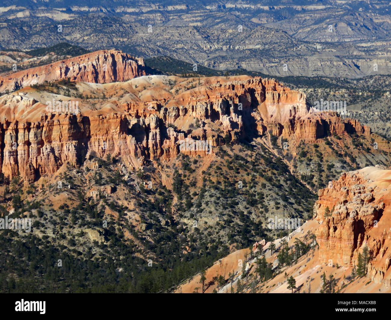 Bryce Canyon NP in UT Stock Photo - Alamy