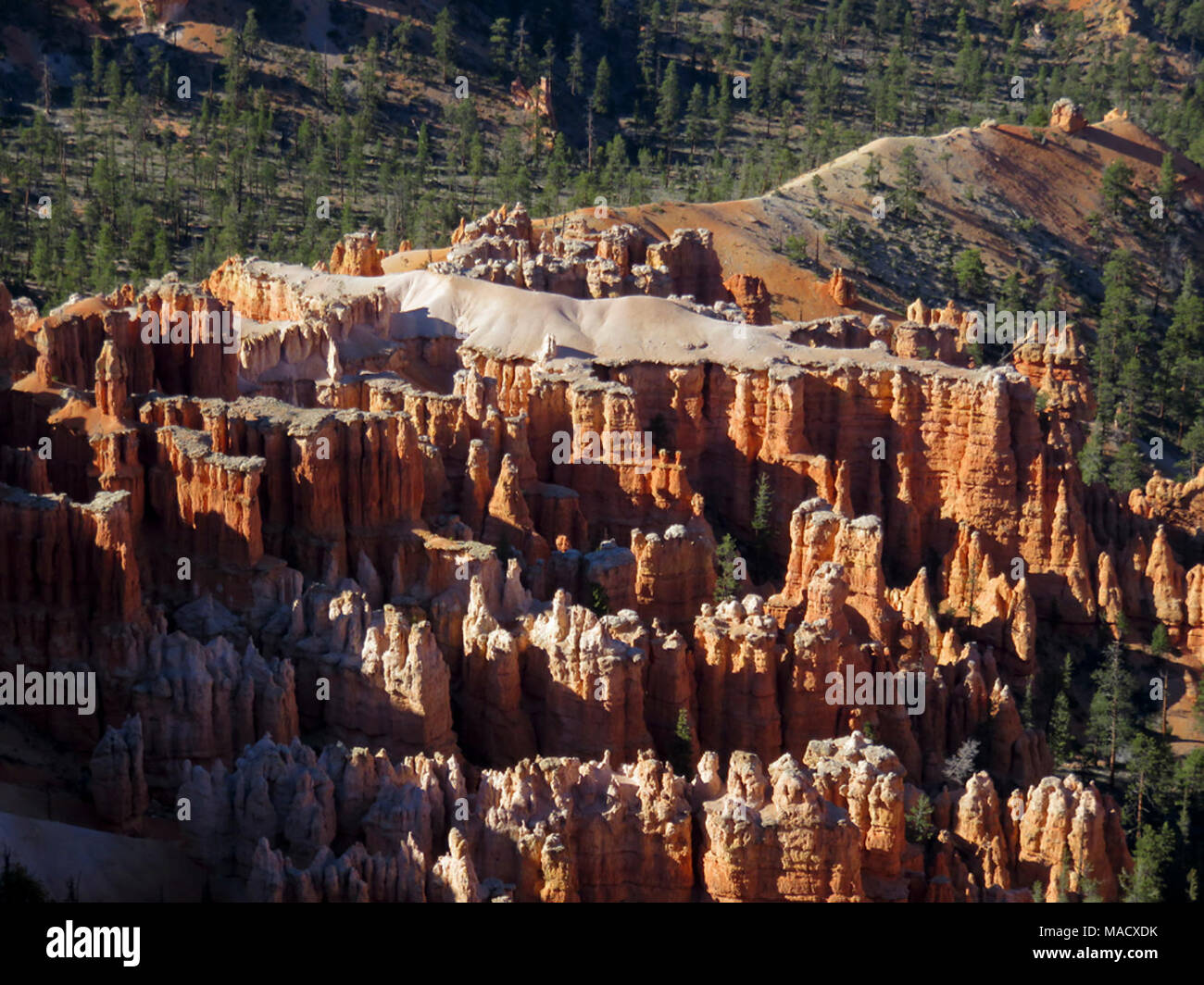 Bryce Canyon NP in UT Stock Photo - Alamy