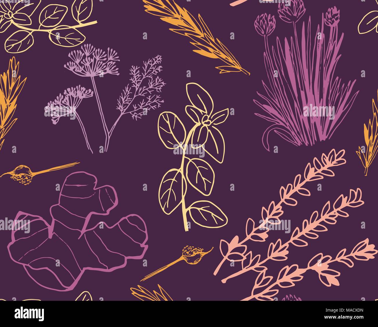 Herbs and medicinal plants seamless pattern Stock Vector Image & Art ...