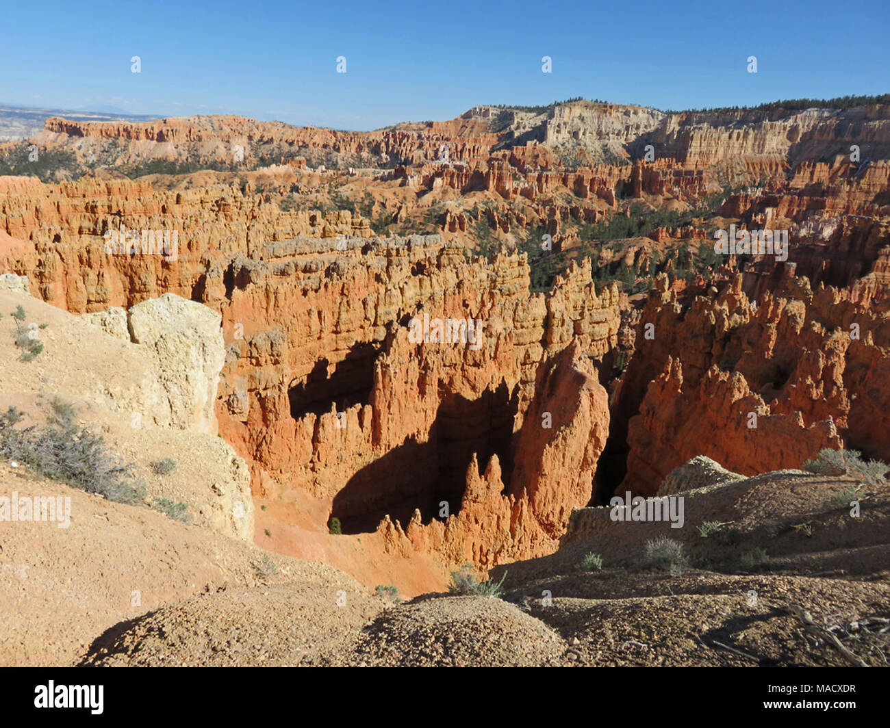 Bryce Canyon NP in UT Stock Photo - Alamy