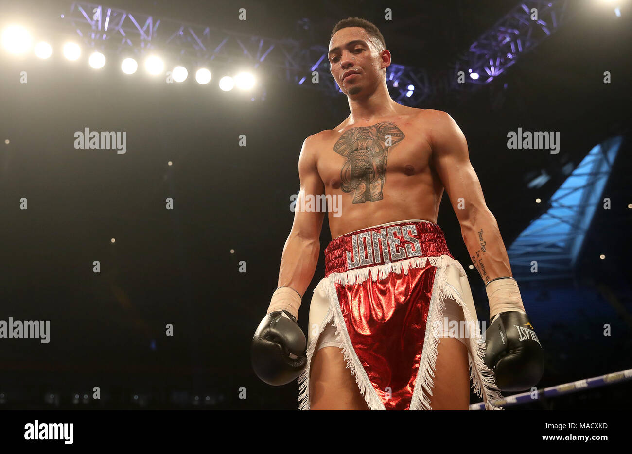 Super middleweight contest principality stadium hi-res stock ...
