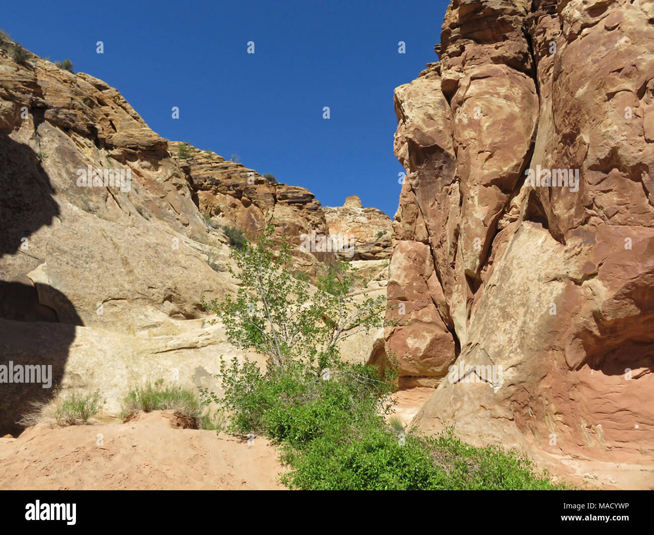 Capitol Reef NP in UT Stock Photo - Alamy