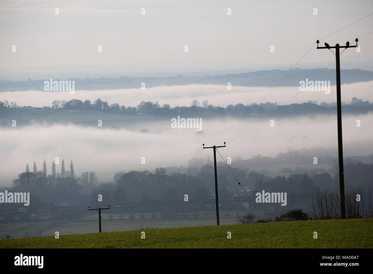Afternoon mist in valleys in Dorset England UK GB Stock Photo - Alamy