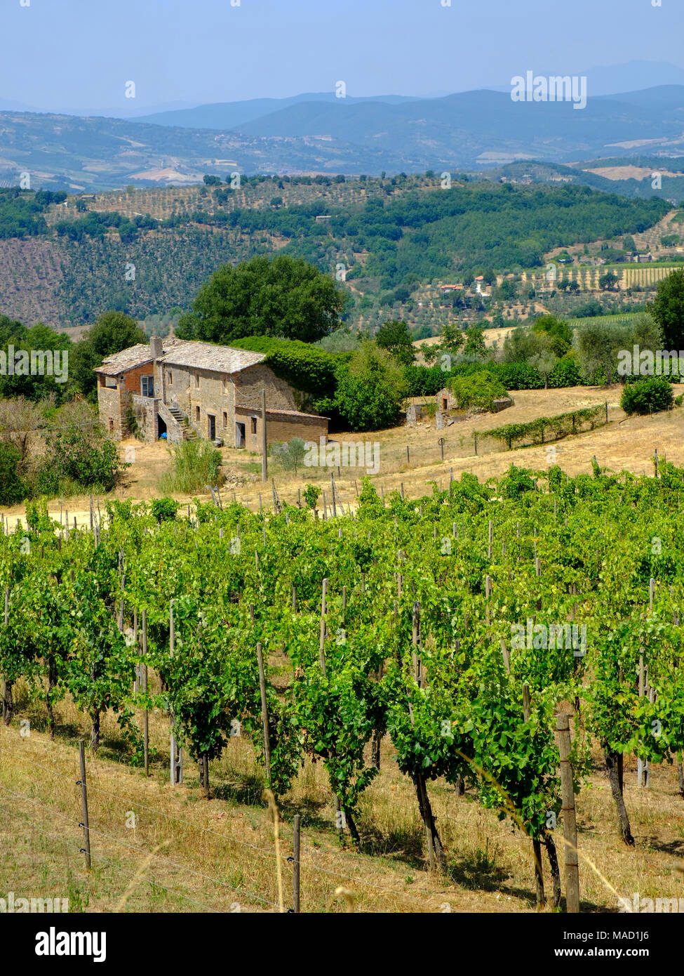 Country landscape at summer along the road from Orvieto to Todi, Umbria ...