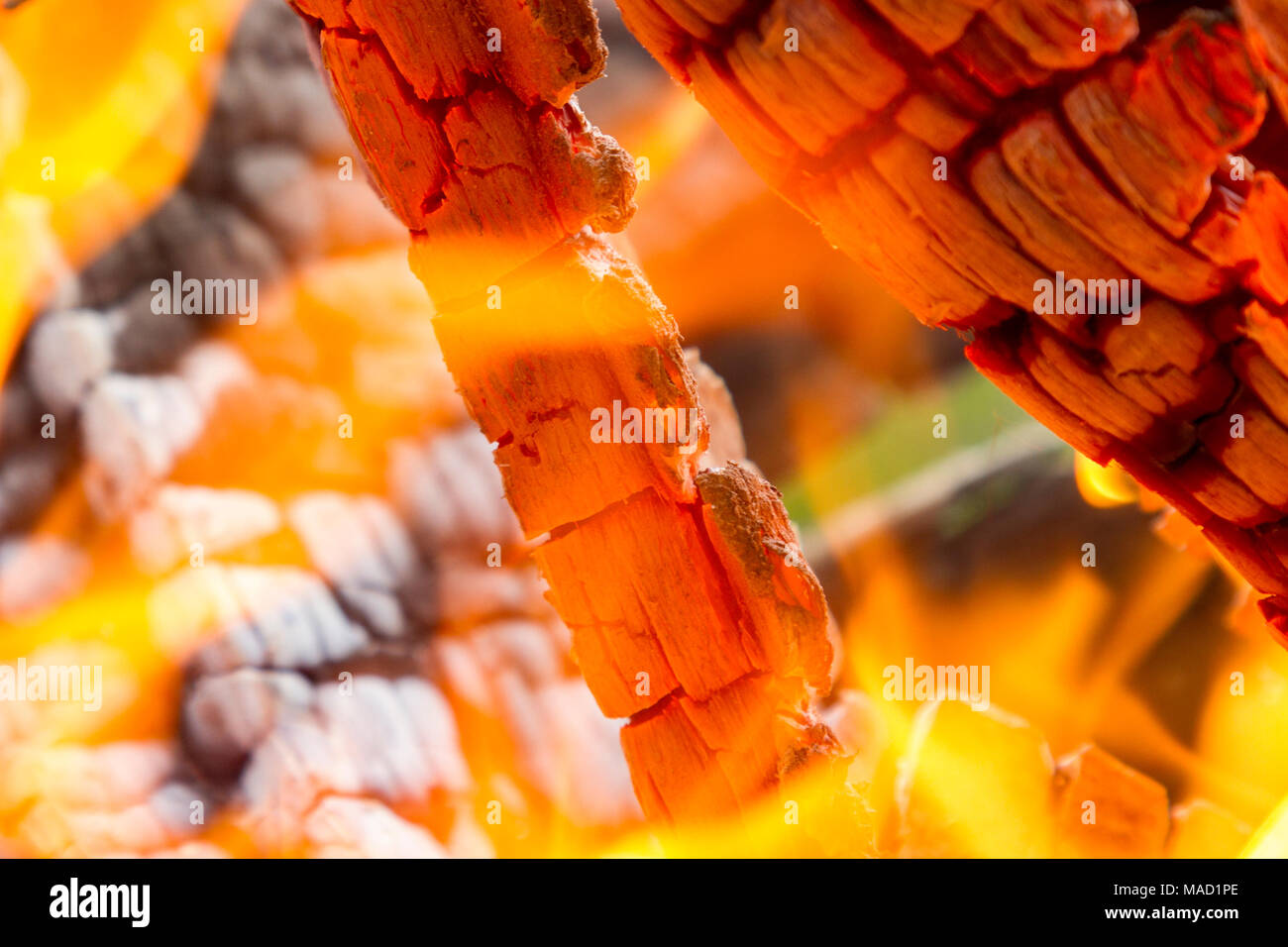 Burning firewood close-up. Yellow-red background of fire and flame ...
