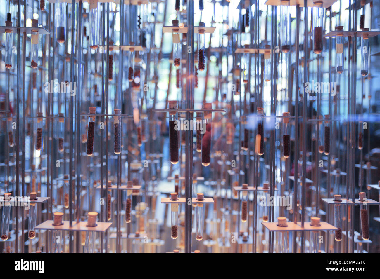 Pharmacy laboratory experiment with some test tubes in a geometric ...