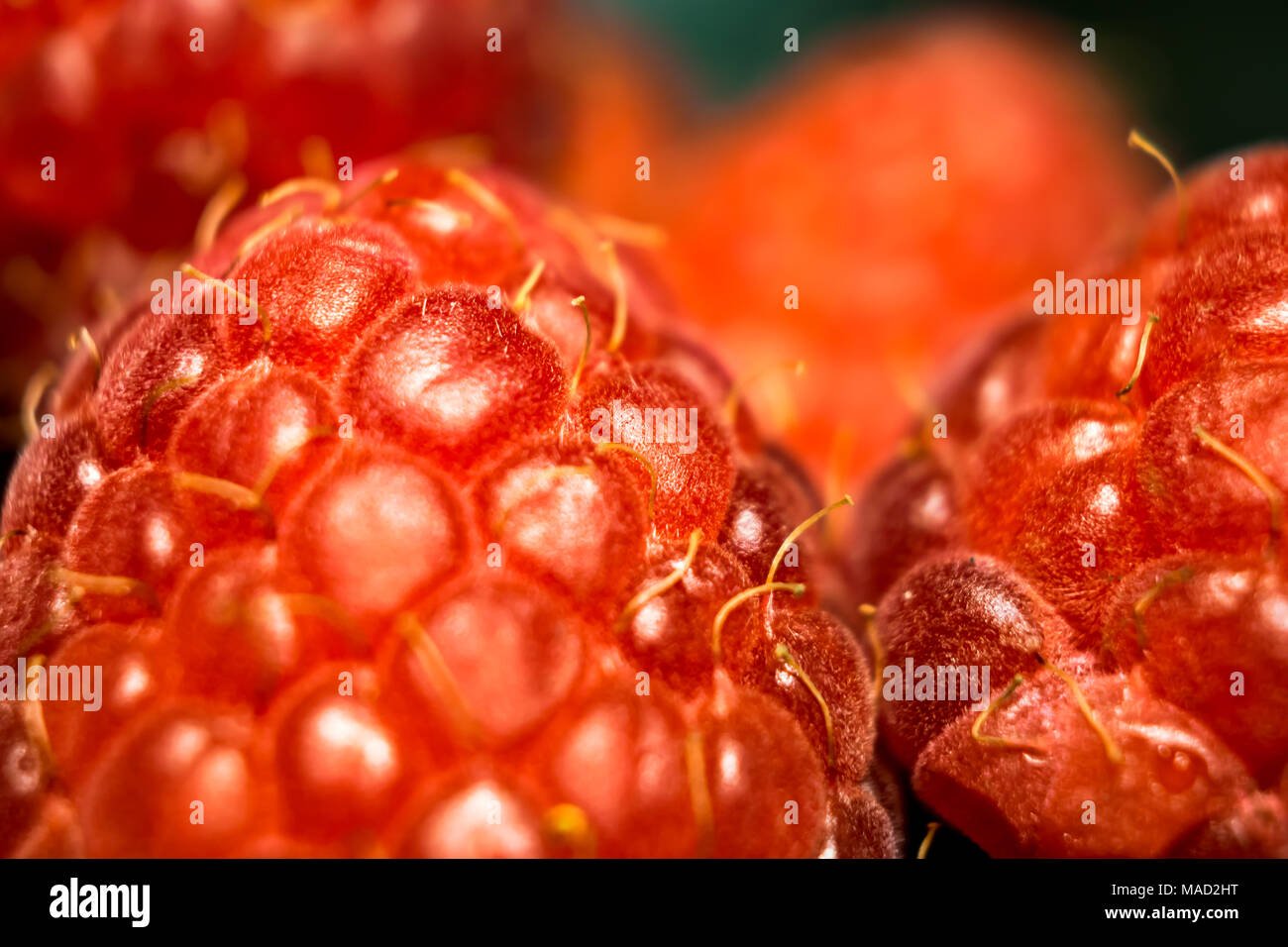 Sharp rsapberrys hi-res stock photography and images - Alamy