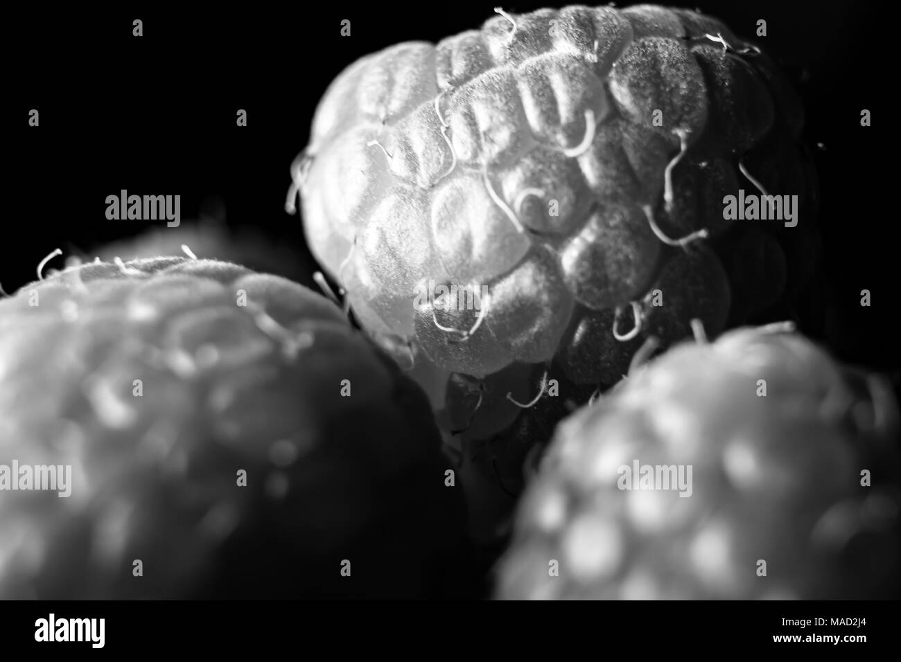Raspberries on Black and White Stock Photos & Images - Alamy