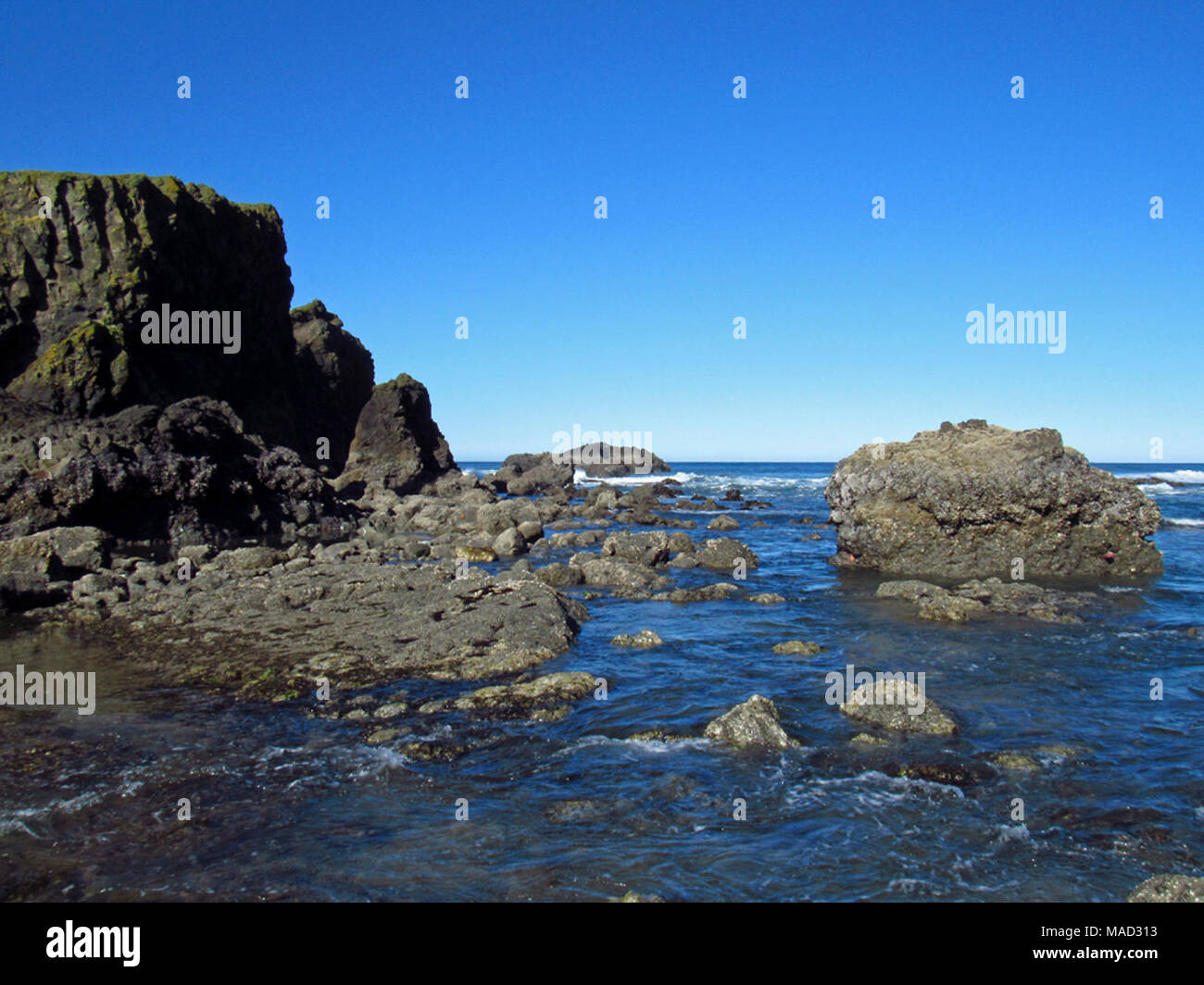 Low Tide at Pacific Coast in OR Stock Photo - Alamy