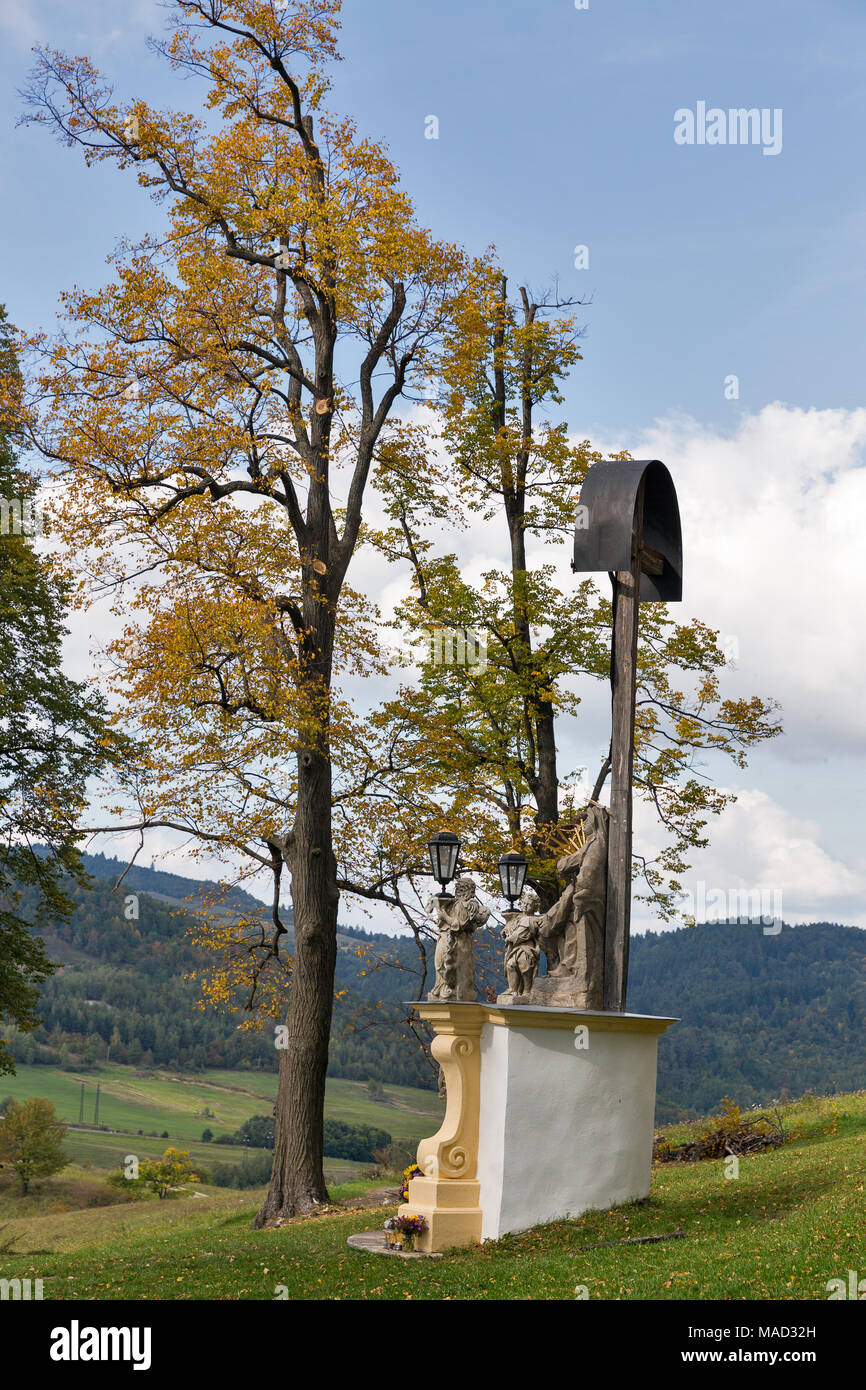 Calvaria tree hi-res stock photography and images - Alamy
