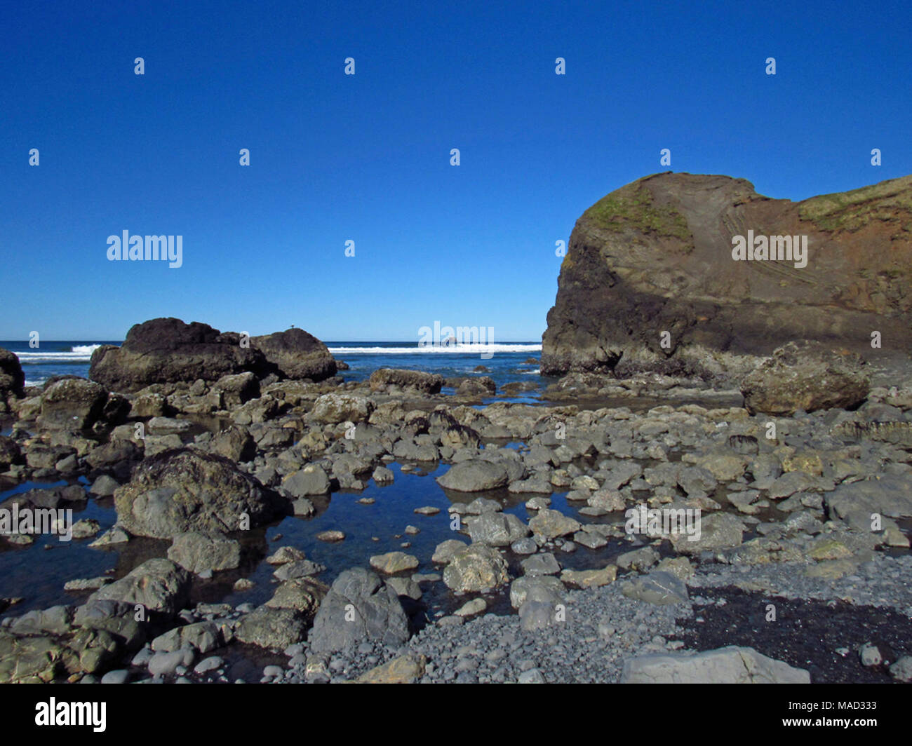 Low Tide at Pacific Coast in OR Stock Photo - Alamy