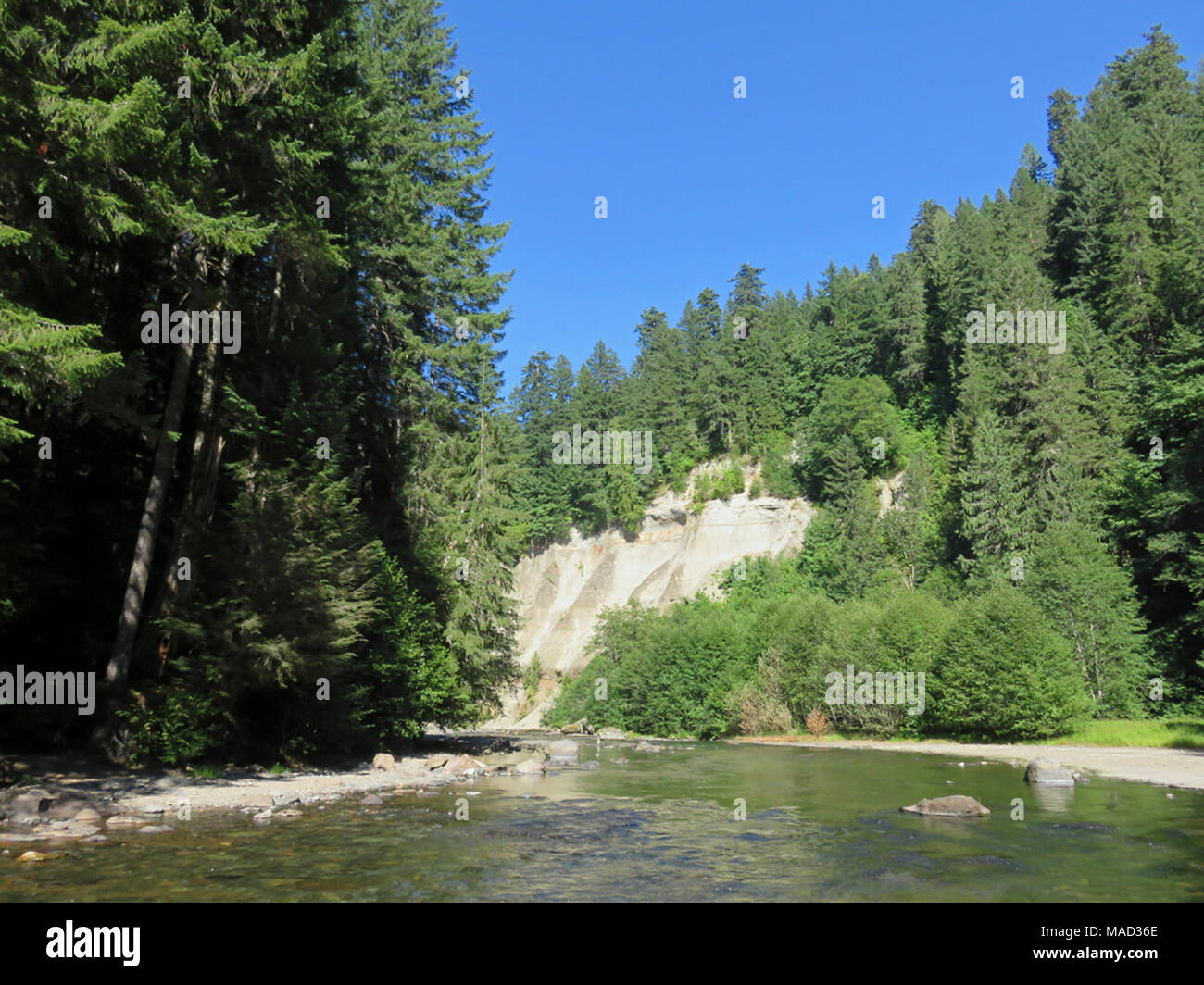 Lower Lewis River Falls in WA Stock Photo - Alamy