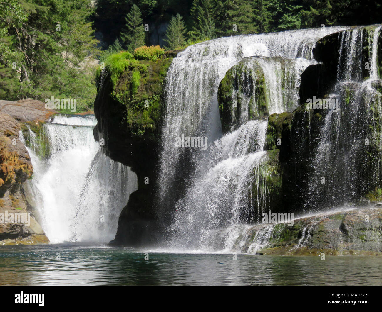 Lower Lewis River Falls in WA Stock Photo - Alamy
