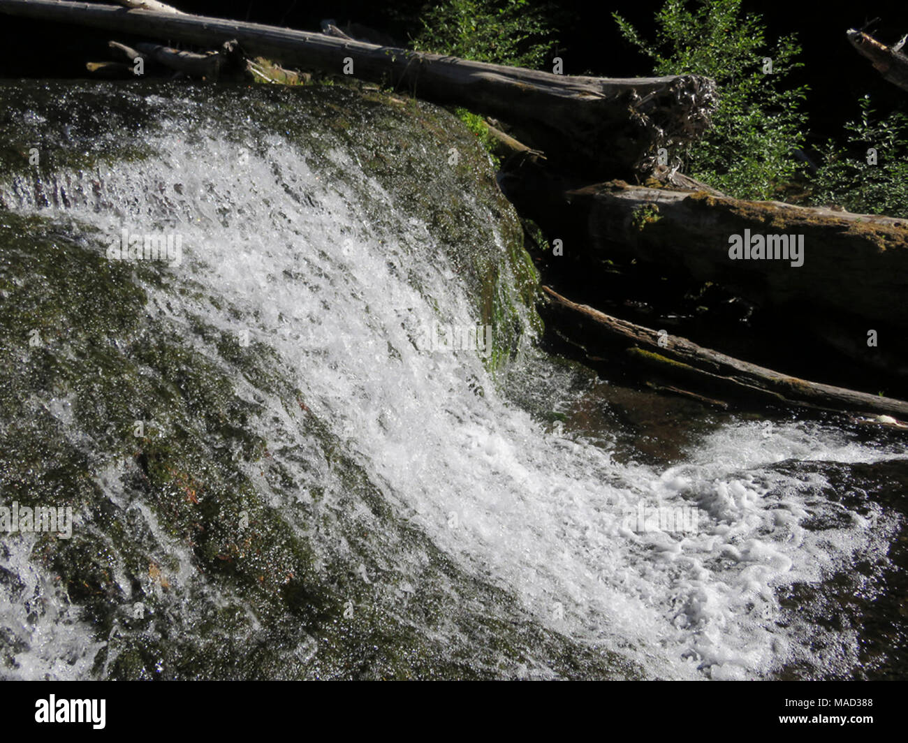 Lower Lewis River Falls in WA Stock Photo - Alamy