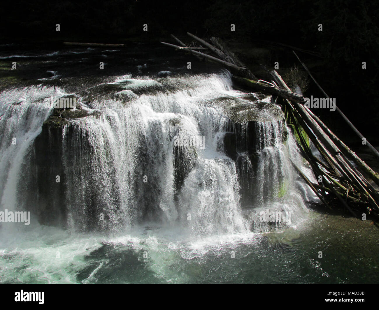 Lower Lewis River Falls in WA Stock Photo - Alamy