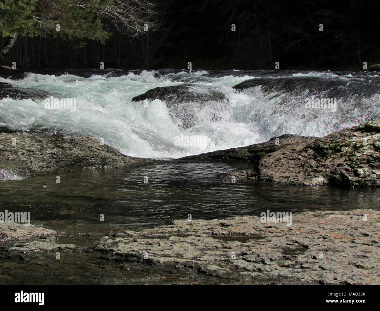 Lower Lewis River Falls in WA Stock Photo - Alamy