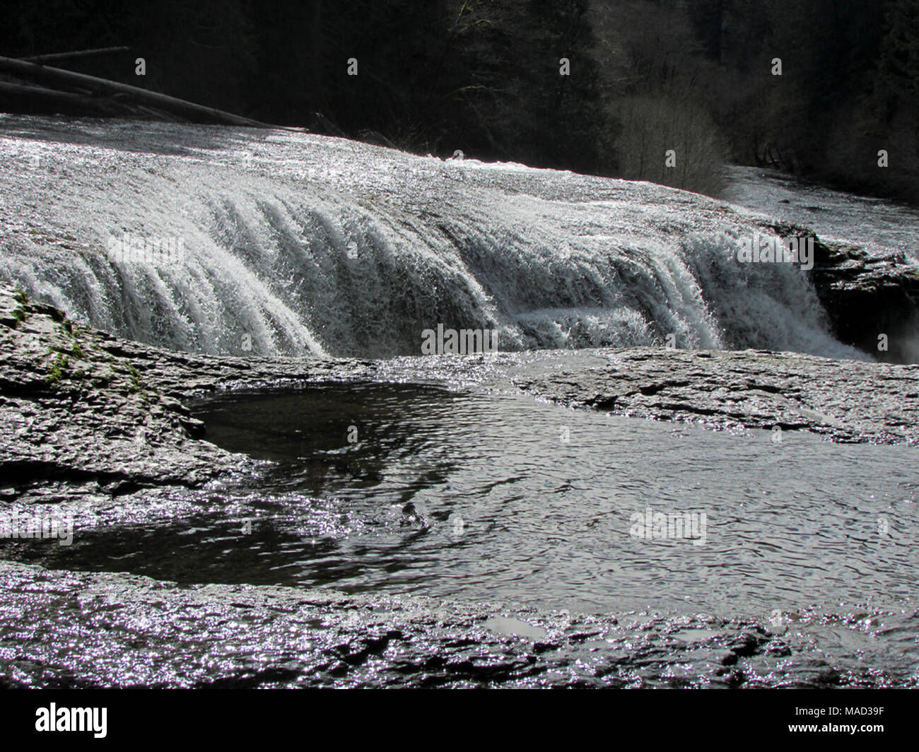 Lower Lewis River Falls in WA Stock Photo - Alamy