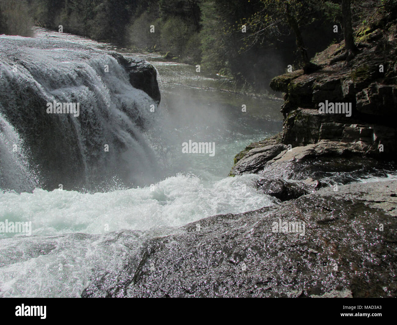 Lower Lewis River Falls in WA Stock Photo - Alamy
