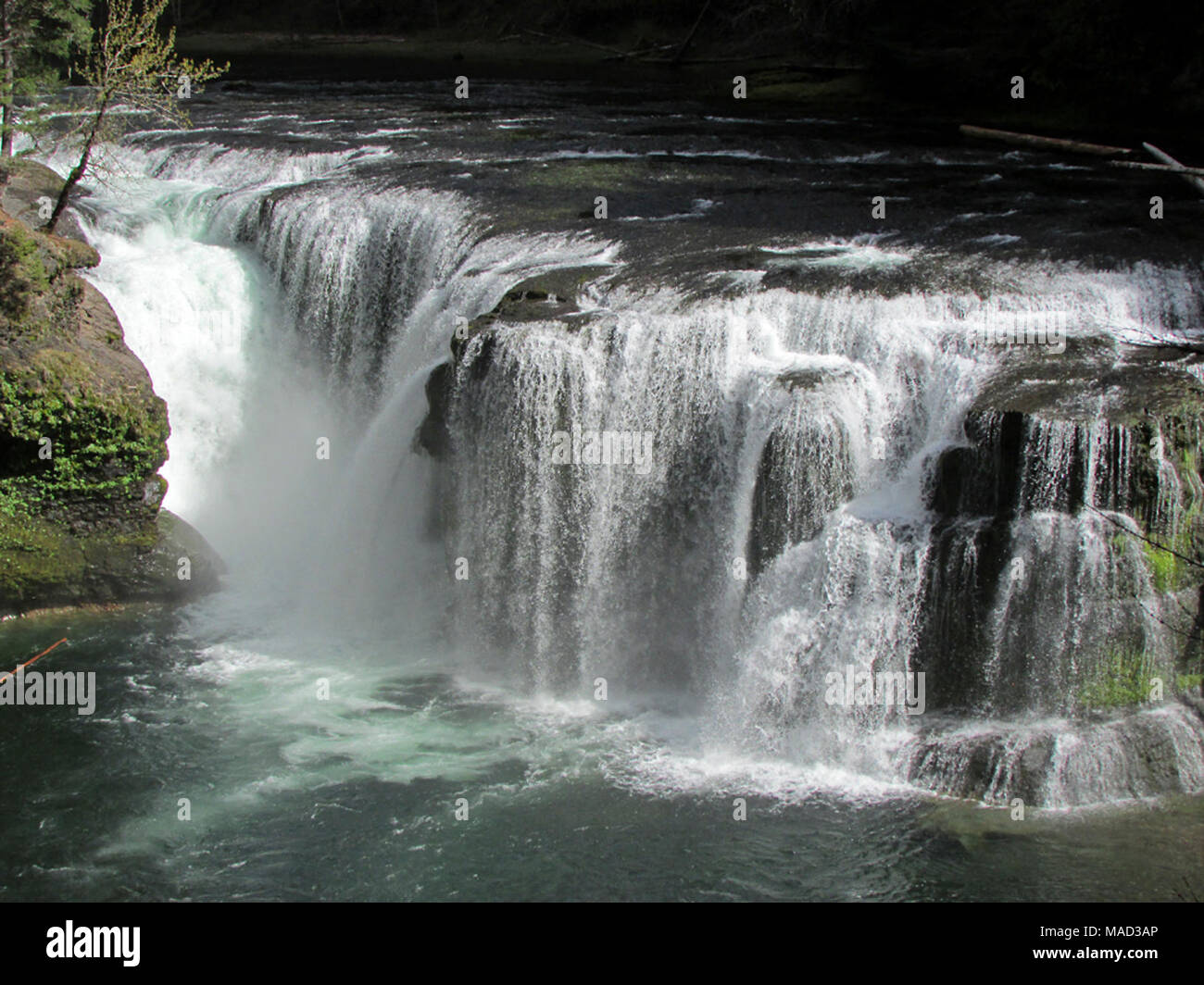 Lower Lewis River Falls in WA Stock Photo - Alamy