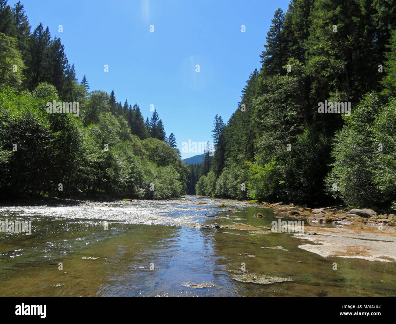 Lower Lewis River Falls in WA Stock Photo - Alamy