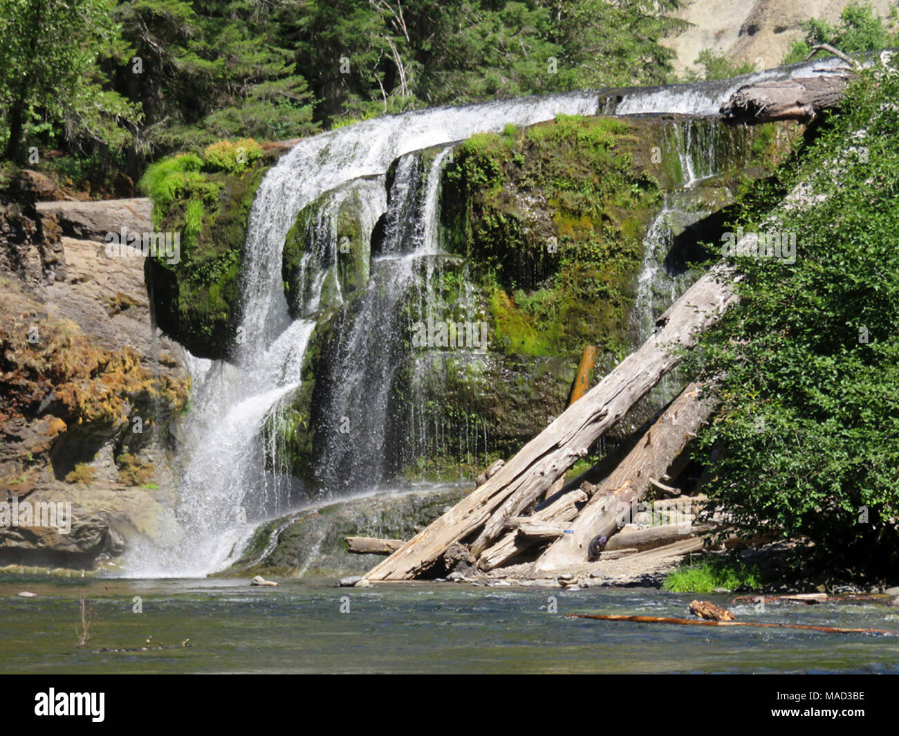 Lower Lewis River Falls in WA Stock Photo - Alamy