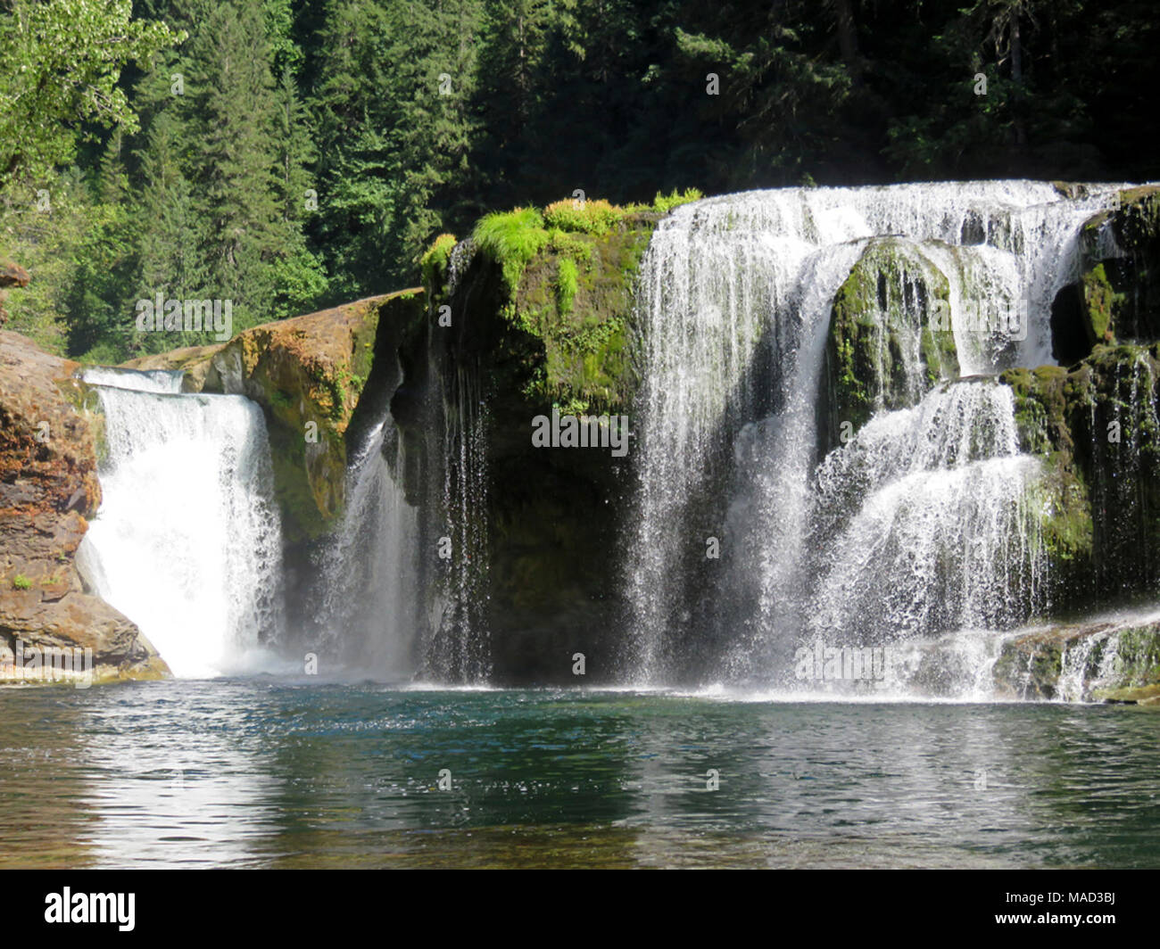Lower Lewis River Falls in WA Stock Photo - Alamy