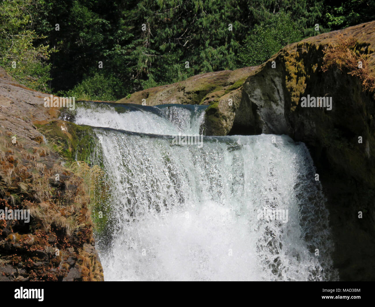 Lower Lewis River Falls in WA Stock Photo - Alamy