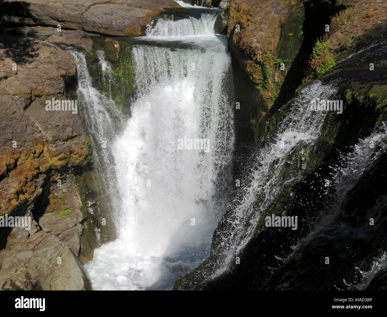 Lower Lewis River Falls in WA Stock Photo - Alamy