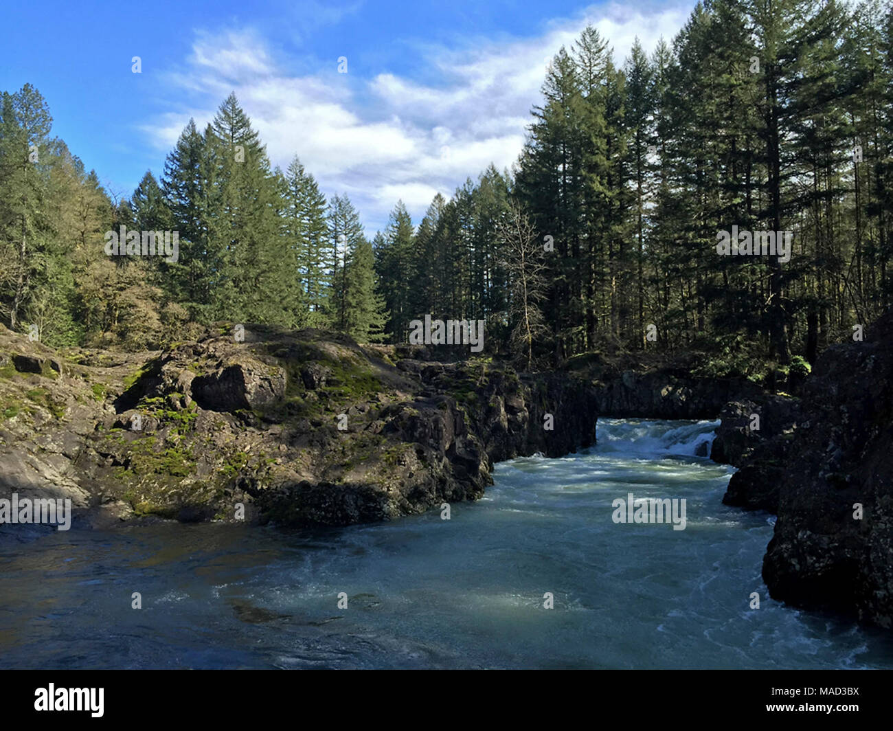 Lucia Falls Park at Lewis River in WA Stock Photo - Alamy