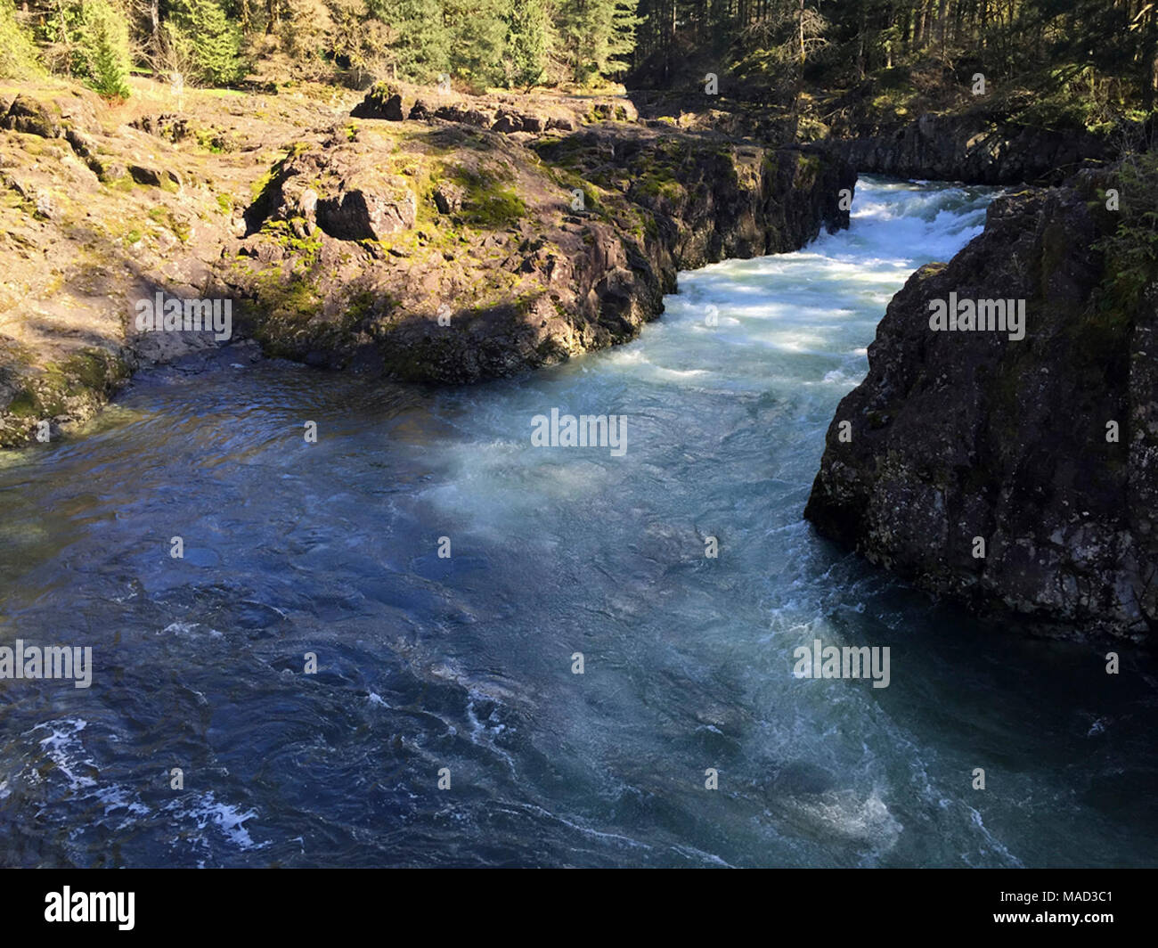 Lucia Falls Park at Lewis River in WA Stock Photo - Alamy