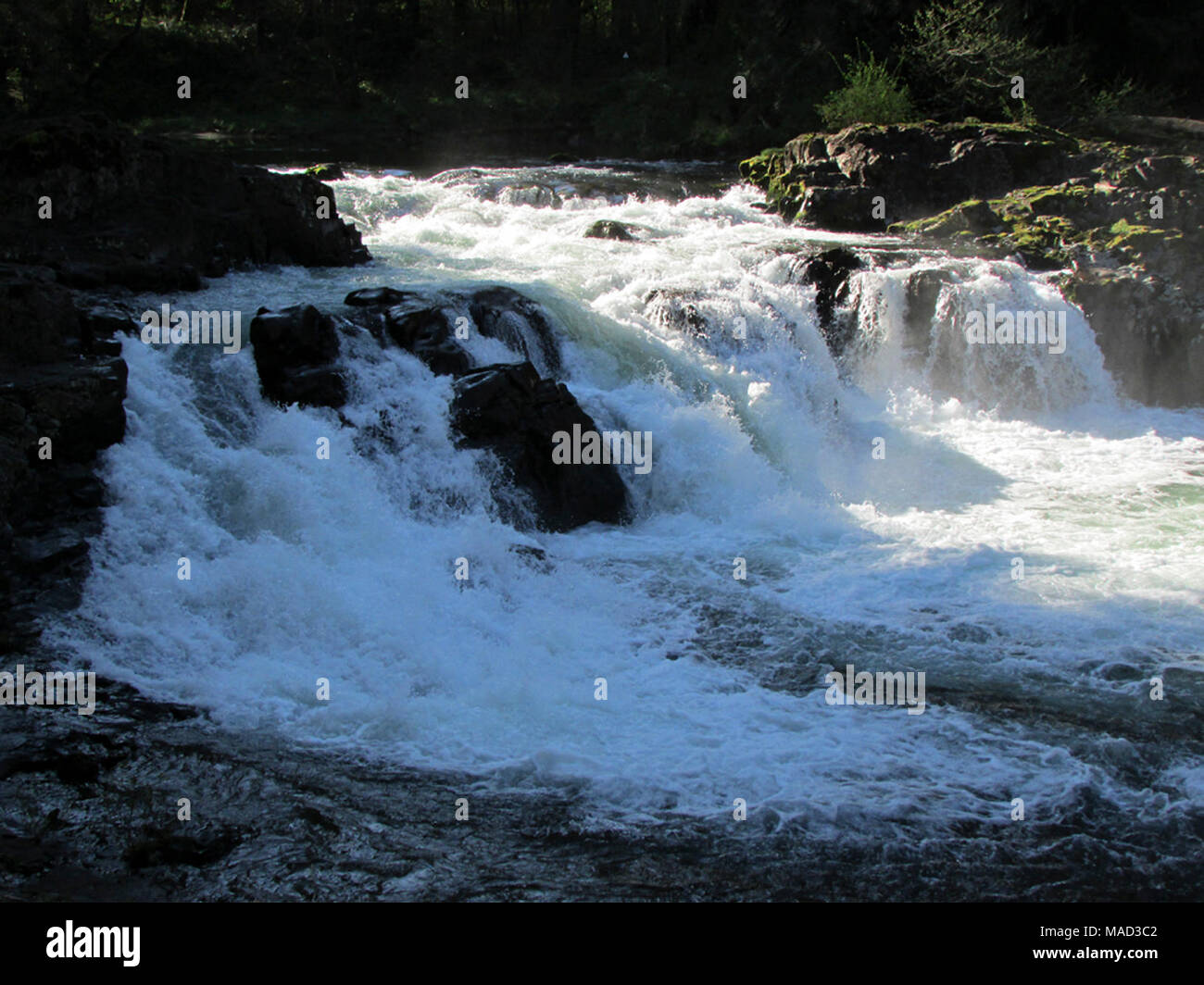 Lucia Falls Park at Lewis River in WA Stock Photo - Alamy