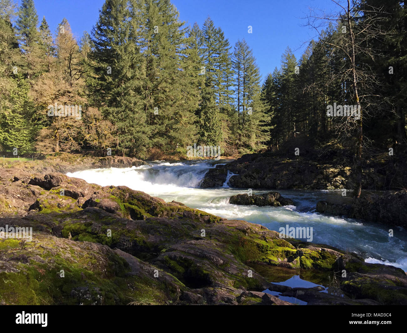 Lucia Falls Park at Lewis River in WA Stock Photo - Alamy