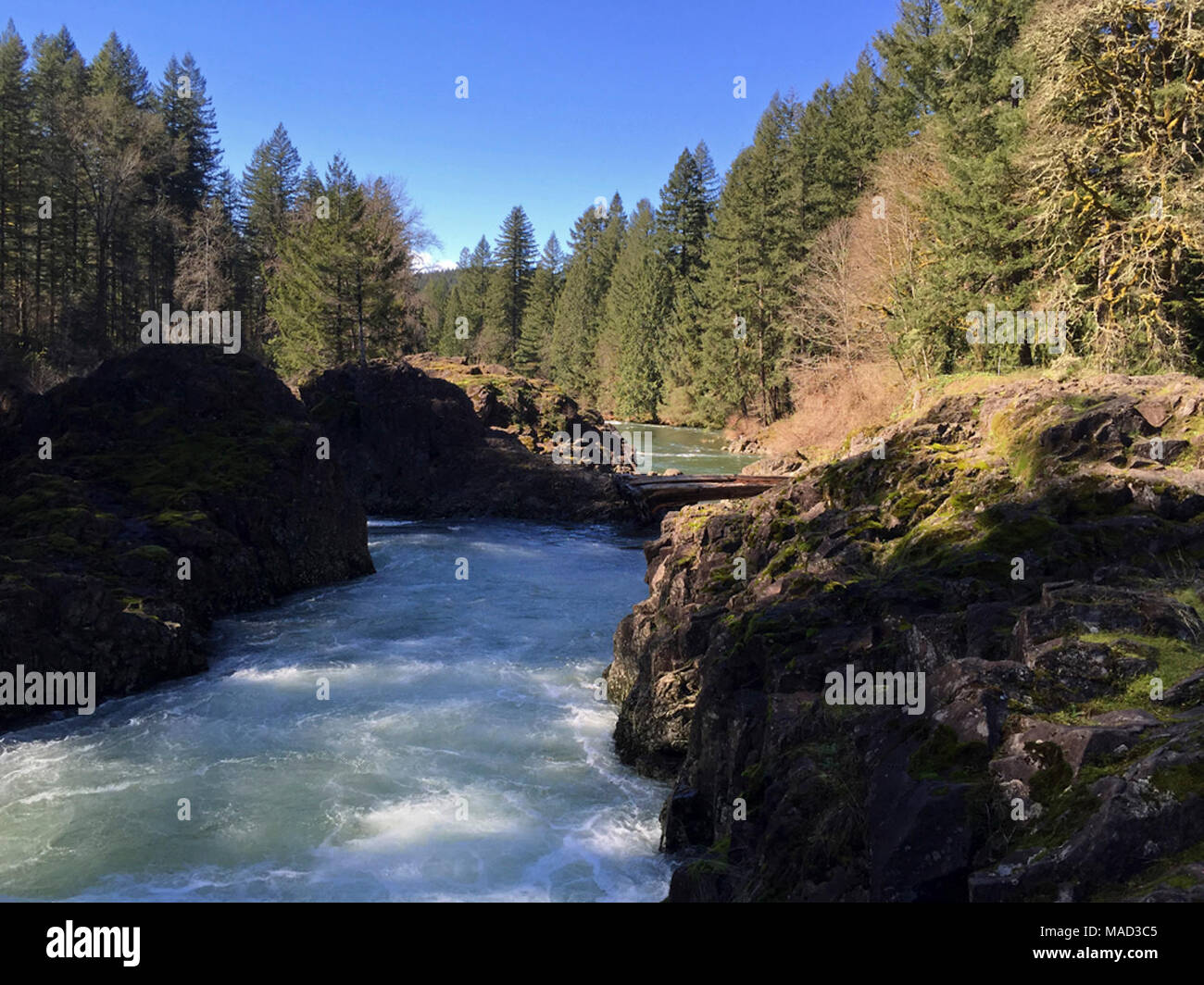 Lucia Falls Park at Lewis River in WA Stock Photo - Alamy